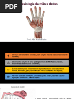 Aula 6 Ossos, Músculos, Inervação e Vascularização Do Punho e Mão | PDF ...