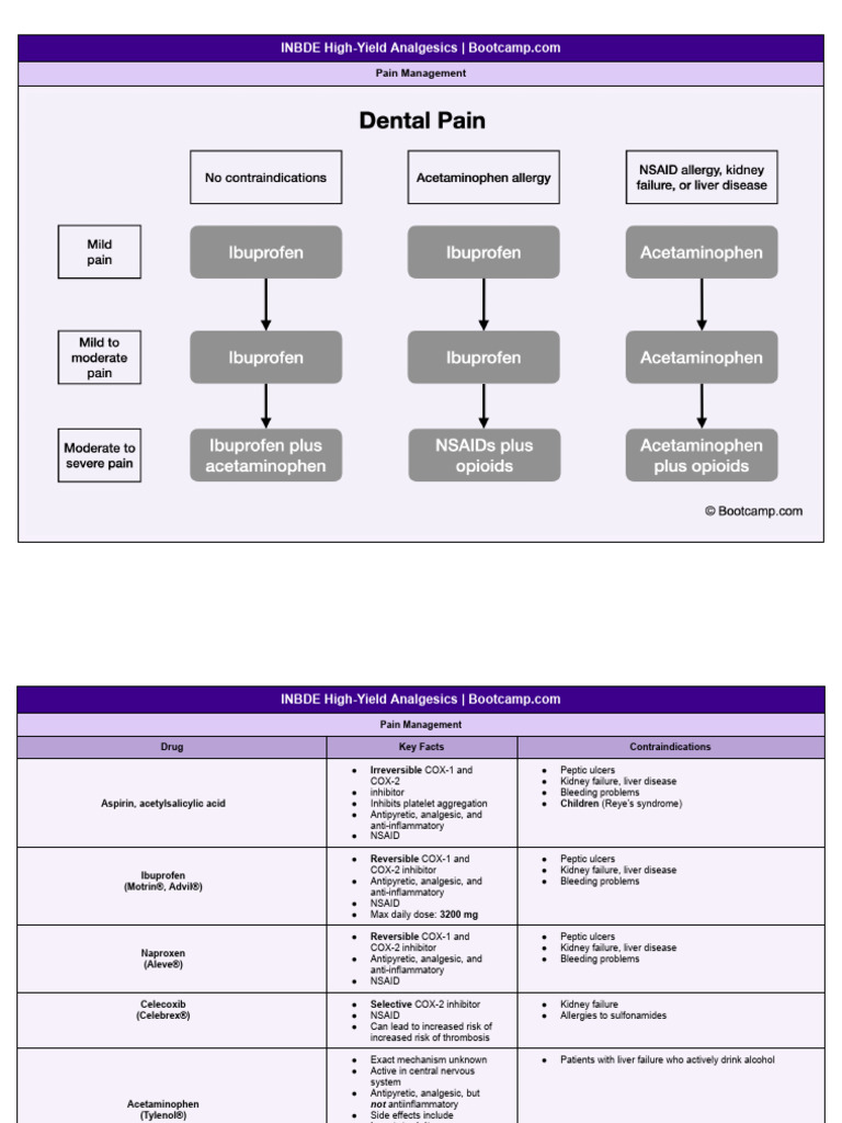 INBDE High-Yield Analgesics | PDF | Nonsteroidal Anti Inflammatory Drug | Analgesic
