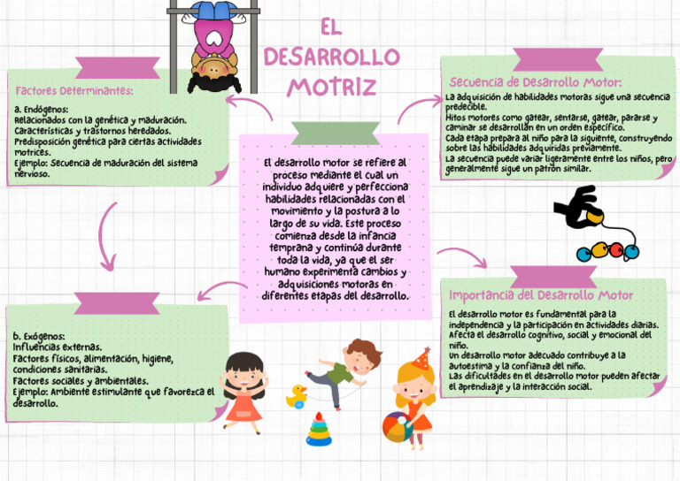 Organizador Gráfico El Desarrollo Motriz | PDF | Aprendizaje | Cognición