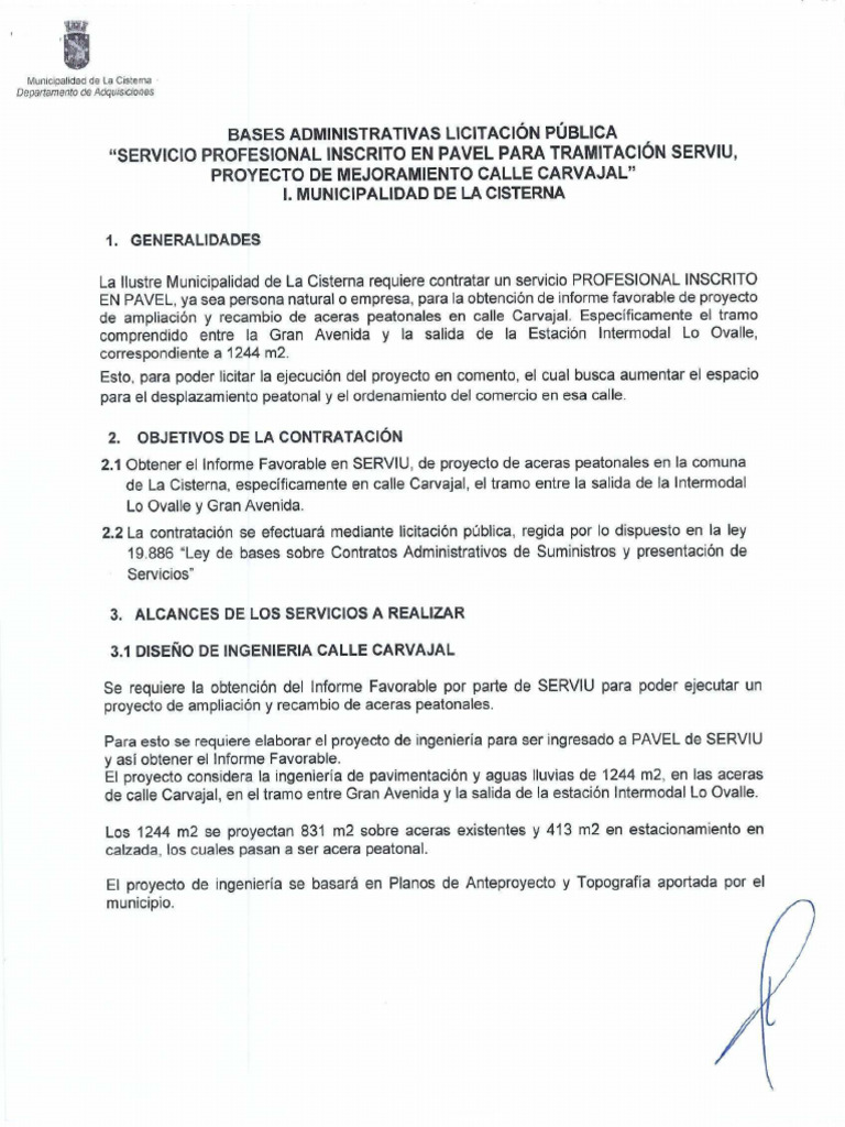 Bases Servicio Profesional Secplan | PDF