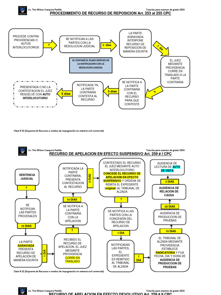 Clase #22 Esquema de Recursos en Materia Civil 2024 | PDF | Apelación | Sentencia (ley)