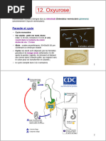 Diagnostic et traitement de l'ankylostomiase | PDF | Parasitologie ...
