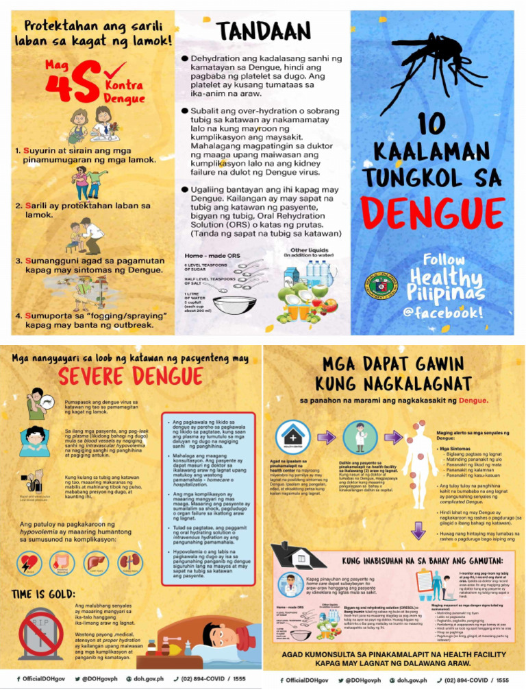 Dengue Iec | PDF