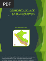 Relieve de La Selva Peruana | PDF | Perú | Andes