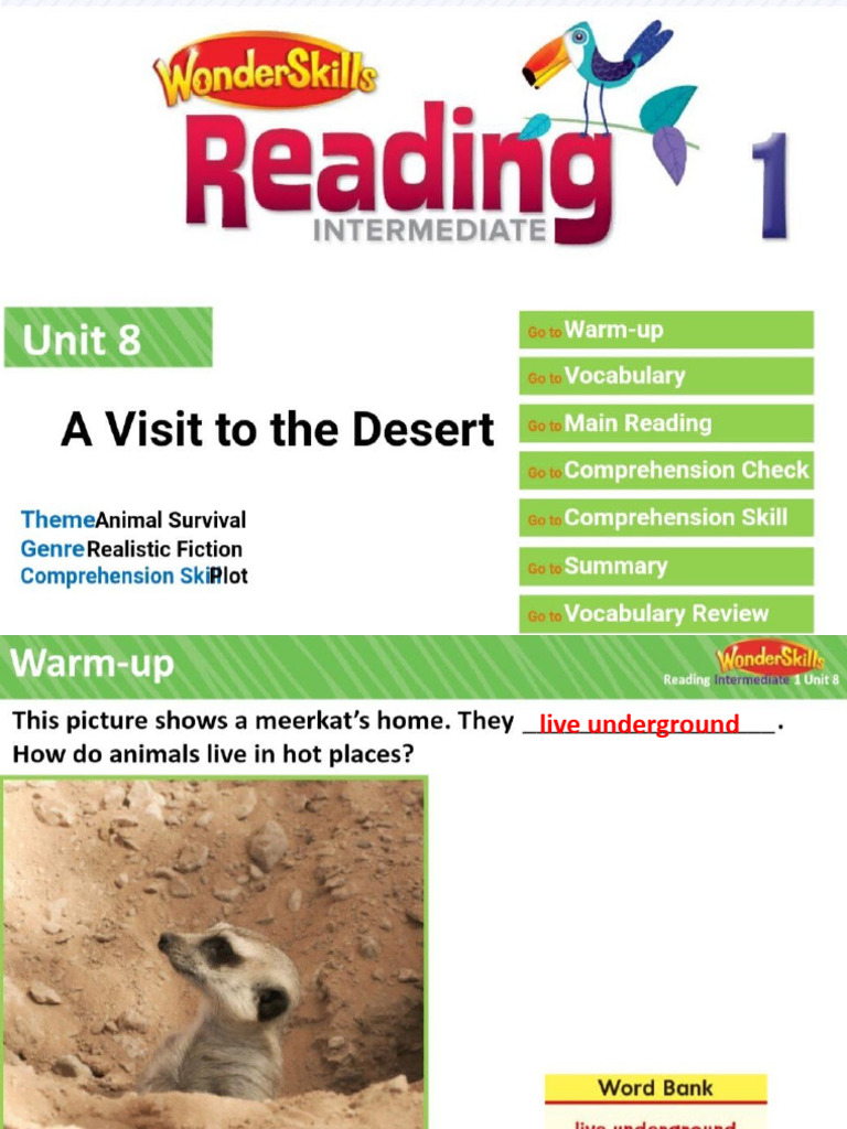 Intermediate 1 Unit 8 A Visit To The Desert | PDF