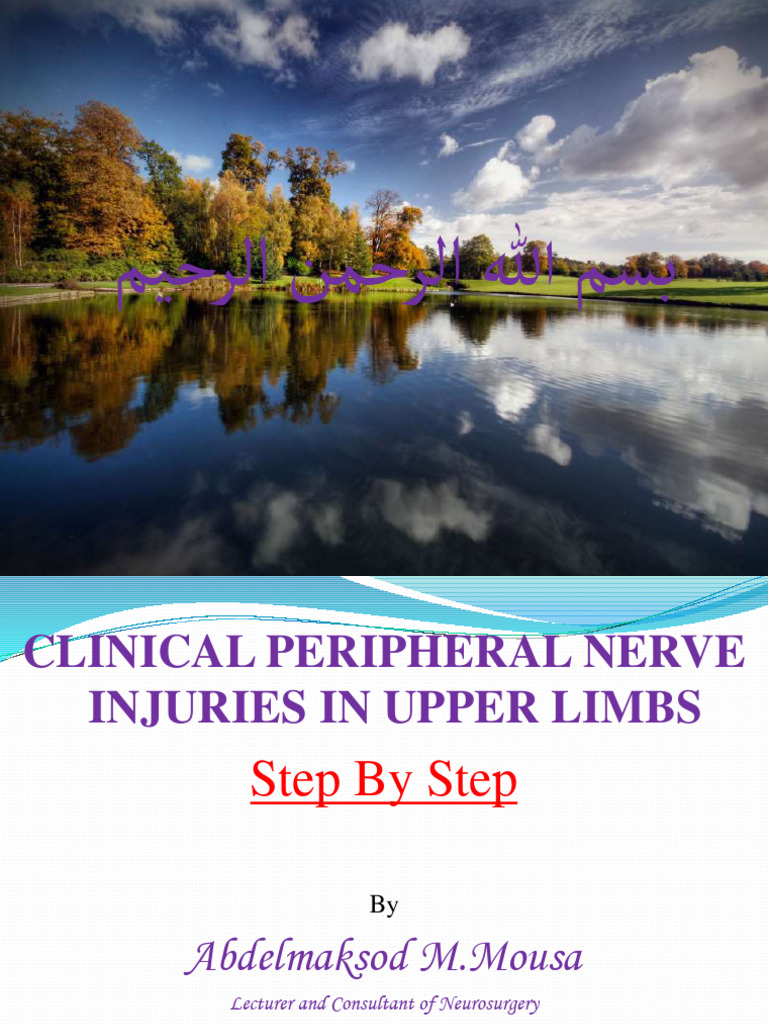 Clinical Peripheral Nerves Injuries 4th Year Pdf Arm Hand
