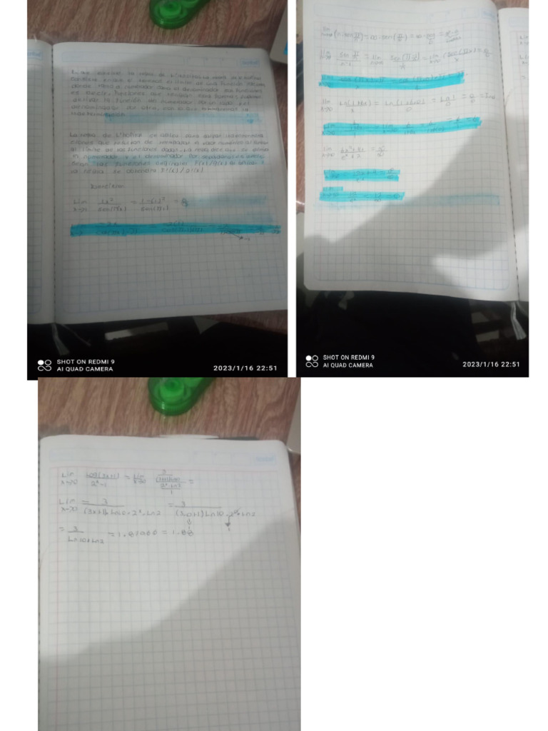 ARZATE NAVA FELIX AARON - L'hopital | PDF