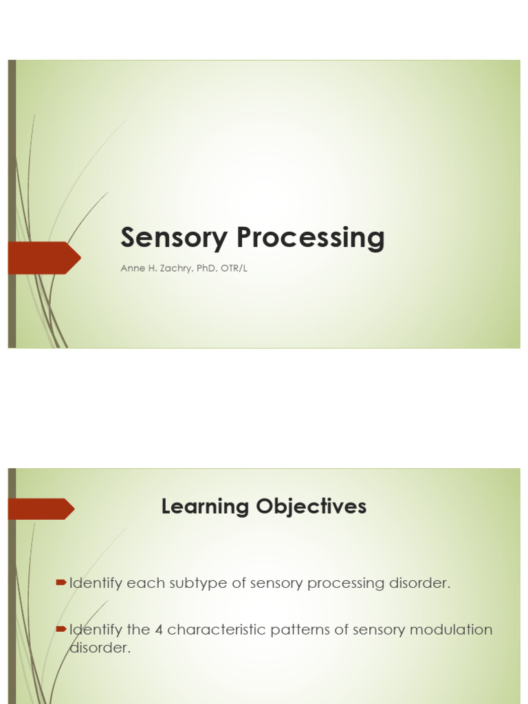 Sensory Processing_TNOTA_Handout | PDF | Senses | Somatosensory System