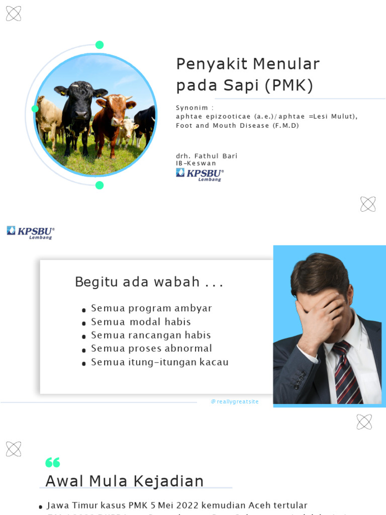 Penyakit Menular Pada Sapi (PMK) Drh. Fathul Bari | PDF
