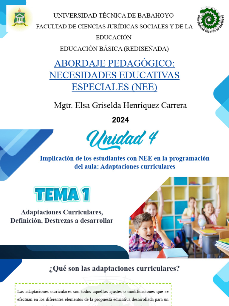 Tema 1 - Unidad 4 Abordaje Nee | PDF | Plan de estudios | Educación primaria