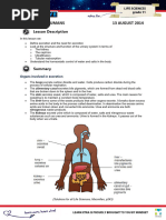 Life Science Grade 11 Term 3 Notes | PDF | Kidney | Urine