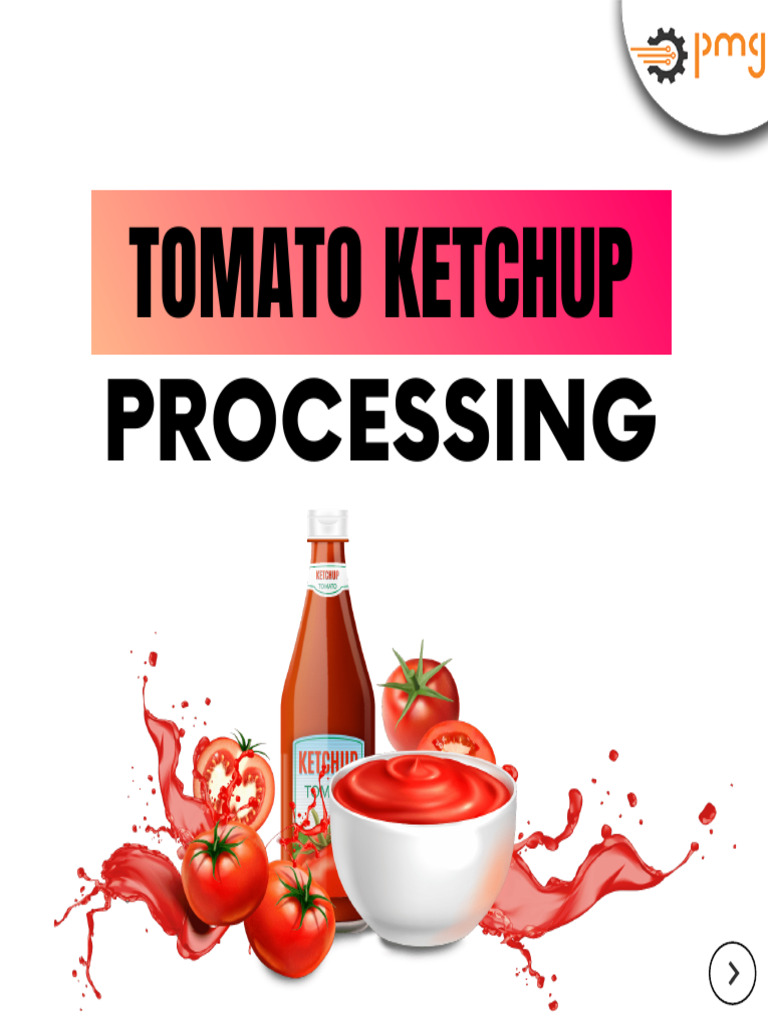 Tomato Ketchup Processing | PDF