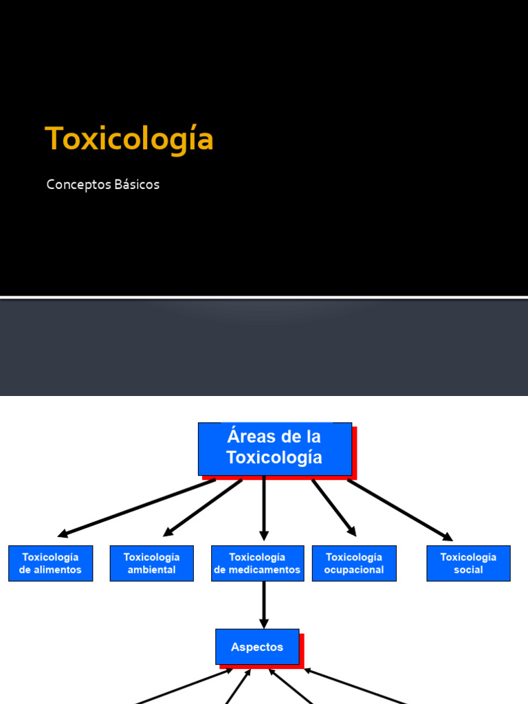 Toxicologia e Intoxicacion | PDF | Biotransformación | Toxicidad