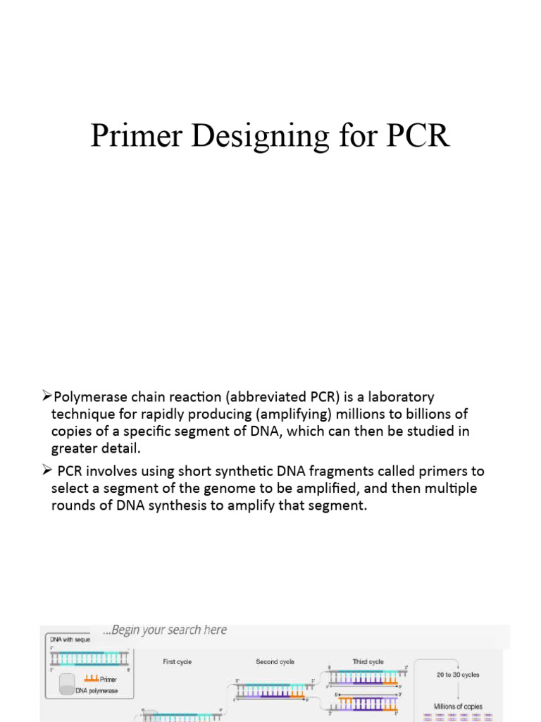 Primer | PDF | Science & Mathematics