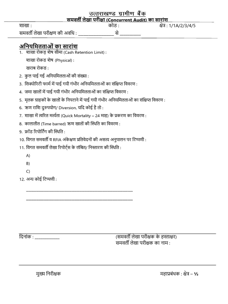 Concurrent Audit Performa | PDF