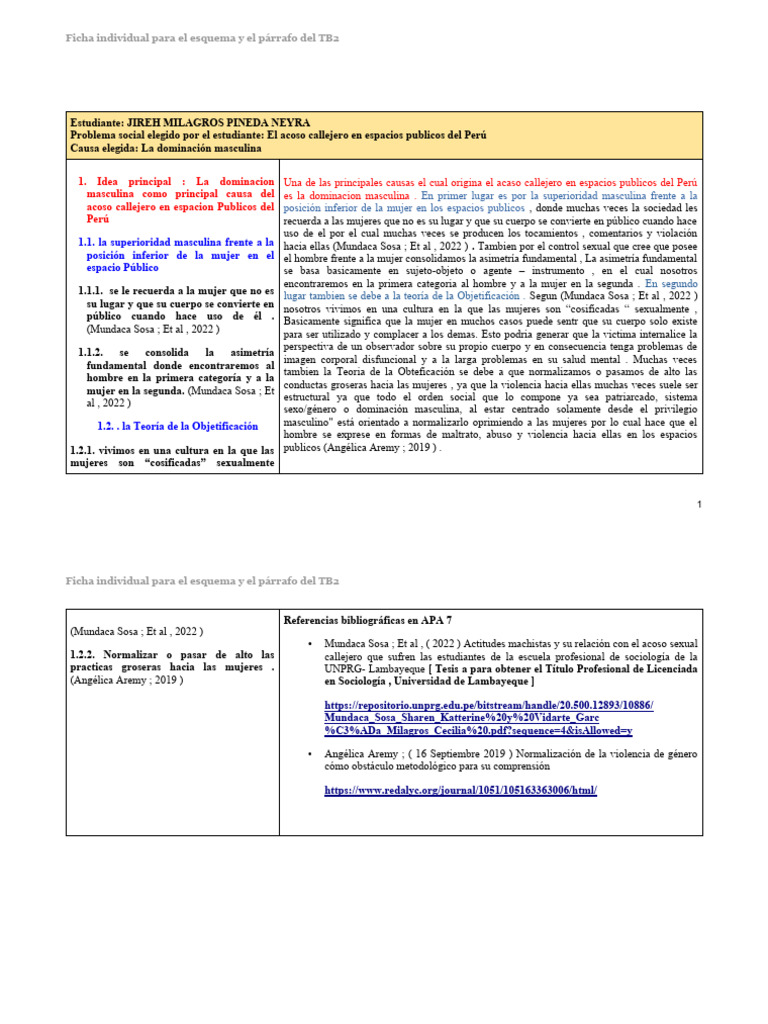 TB2 Ficha Individual para El Párrafo | PDF | Mujer | Sexualidad