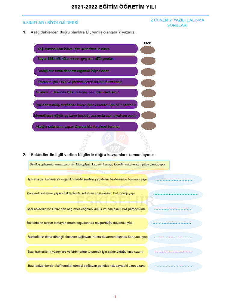 Yazili Biyyolojiy 9.sinif | PDF