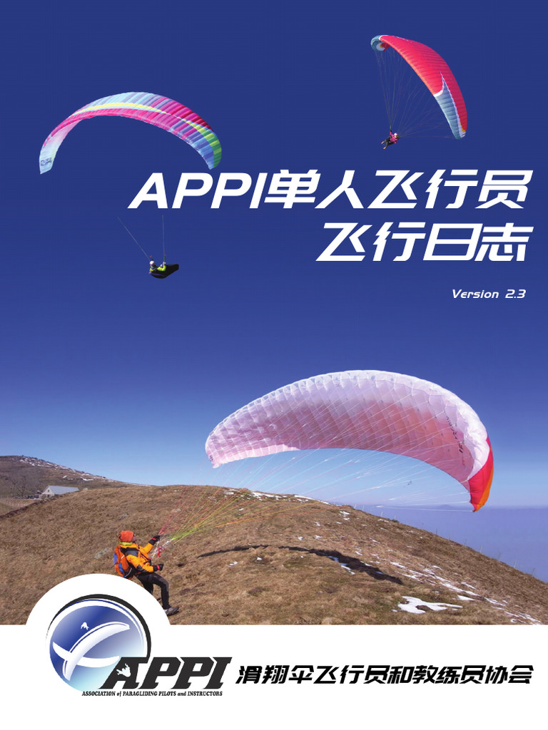 APPI solo logbook | PDF