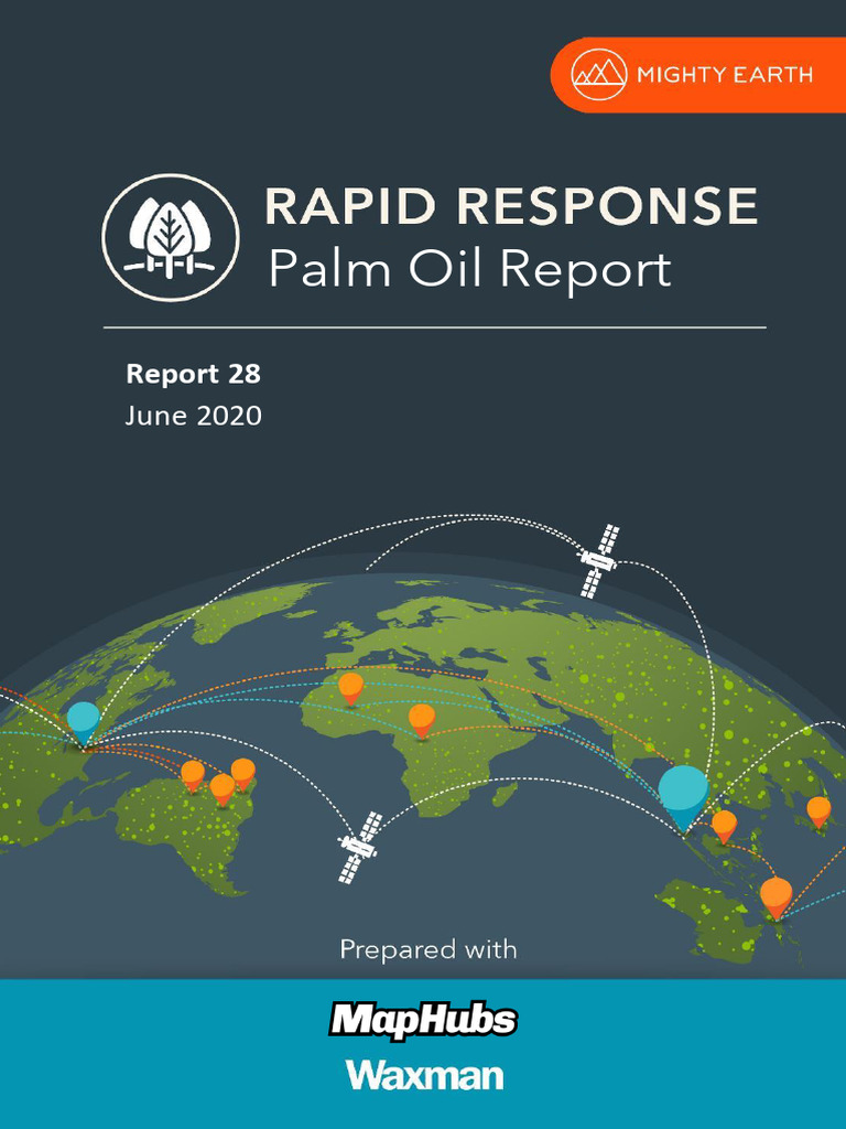 RR-Report-28 June5 Pa1 | PDF | Deforestation | Companies