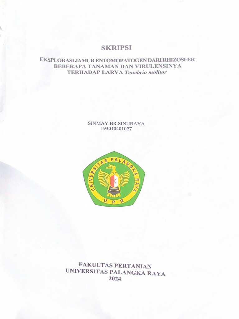 Cover Skripsi | PDF