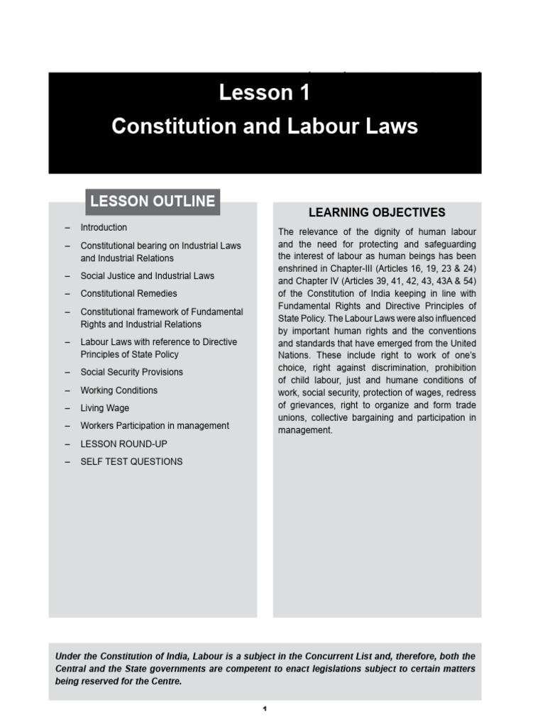 Constitutional Provisions - ILO | PDF | Labour Law | Employment