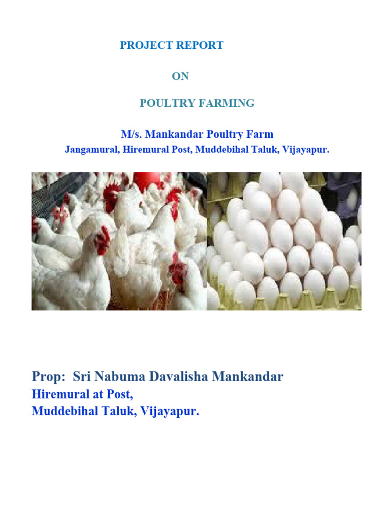 Poultry Broiler Farming | PDF | Depreciation | Expense