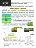 NJUG Publication Volume 1 | PDF | Root | Trees