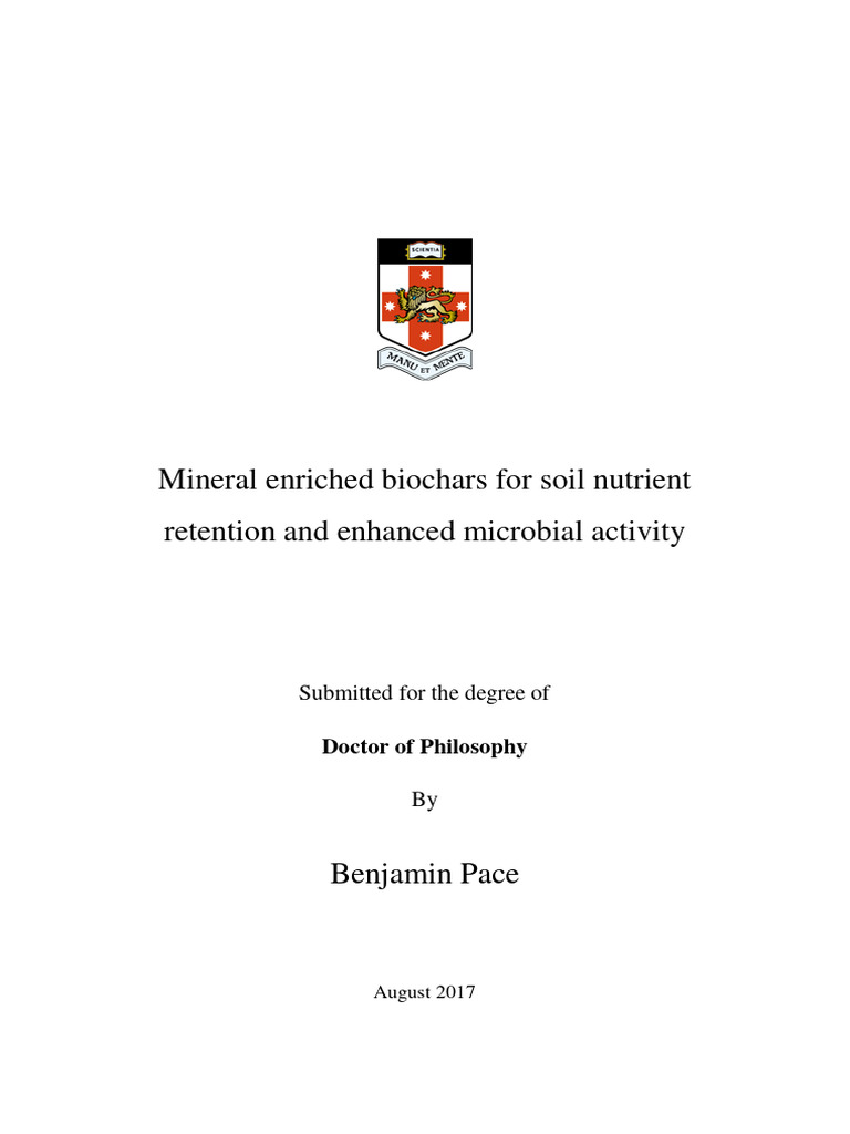 Biochar+ Clay, Biochar + Iron Sulphate (Thesis Unsw) | PDF | Pyrolysis ...