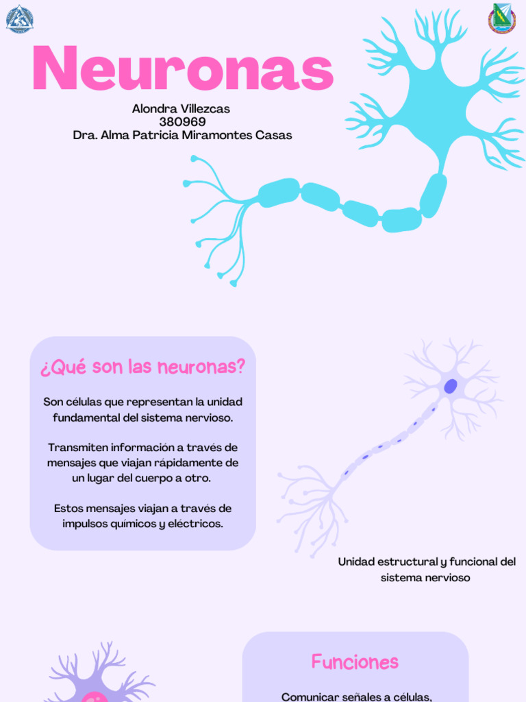 Presentación Química Biología Neuronas Morfología Ilustrativo Morado ...
