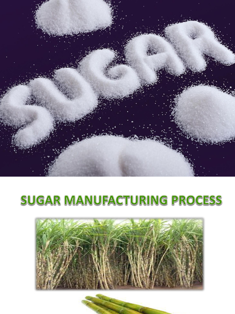 Sugar | PDF | Sugar | Diet & Nutrition