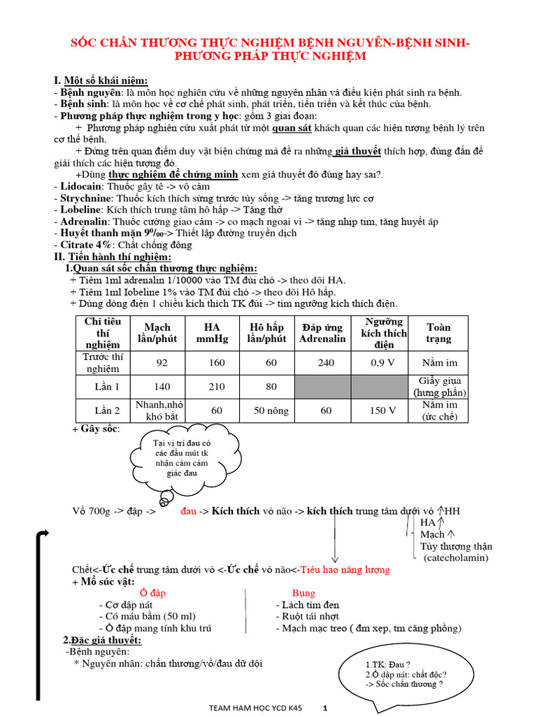 Tài Liệu Thực Tập Slb Md | PDF
