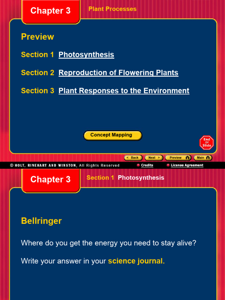 Chapter 3 red Holt PowerPoint | PDF | Photosynthesis | Flowers