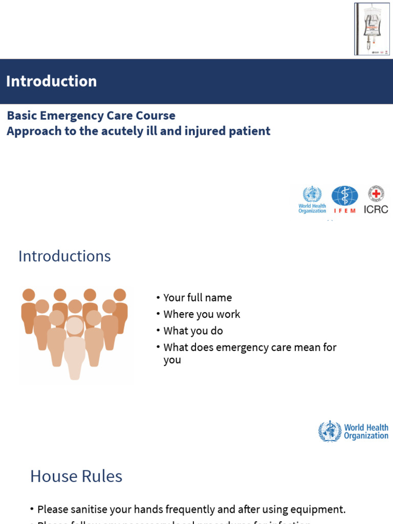 Bec Introduction | PDF