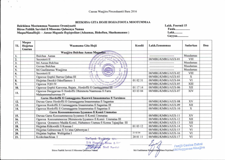 Caasaa Aanaa Regiopolitan | PDF