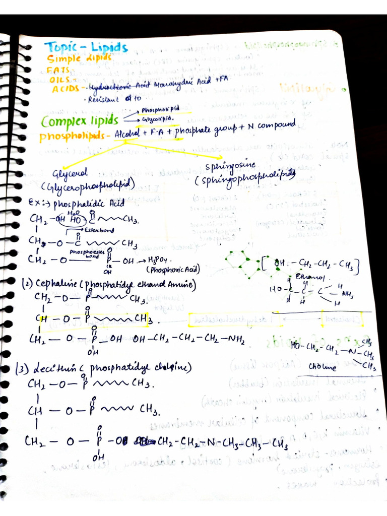 Lipids Notes Class 11 | PDF