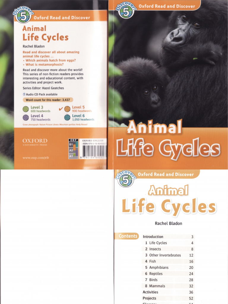 Animal Life Cycles | PDF | Amphibian | Insects