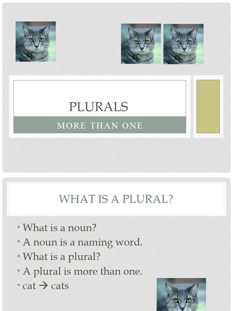 Irregular Plural Verbs | PDF | Language Arts & Discipline | Foreign Language Studies