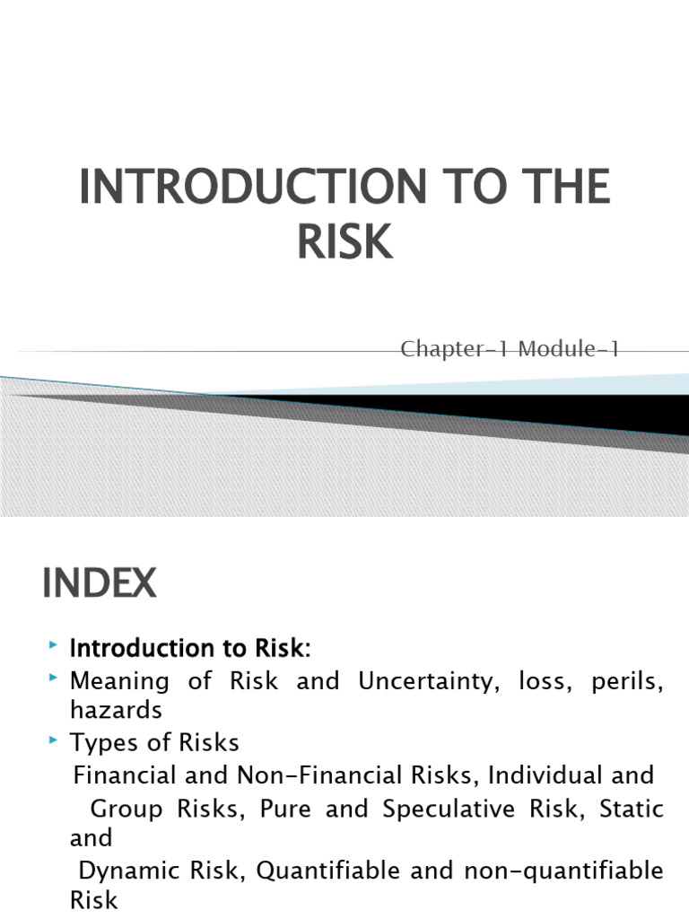 Introduction of Risk | PDF | Risk | Hazards