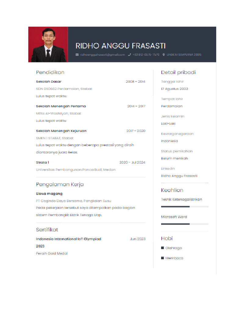 Curriculum Vitae Ridho | PDF