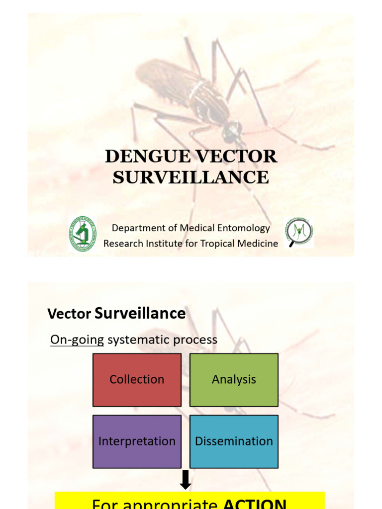 10a - Dengue Vector Surv | PDF | Pupa | Insects And Humans
