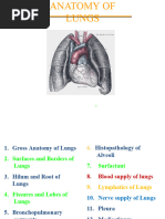 Lung Segmental Anatomy and Variants | PDF | Lung | Medical Specialties