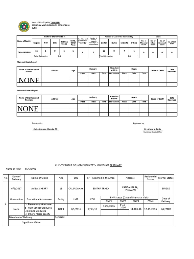 2018 Mnchn Report | PDF | Childbirth | Infants