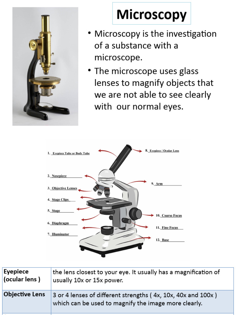 The Microscope | PDF