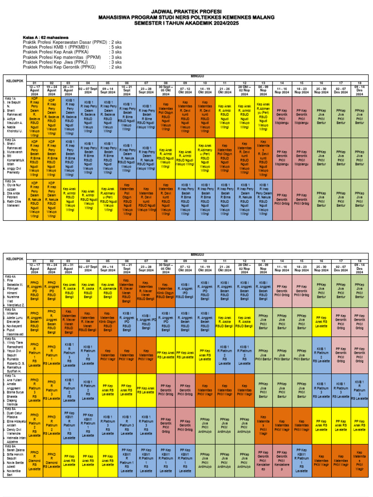 30 Juli - JADWAL PRAKTEK PROFESI NERS SEMESTER GANJIL 2024-2025 | PDF