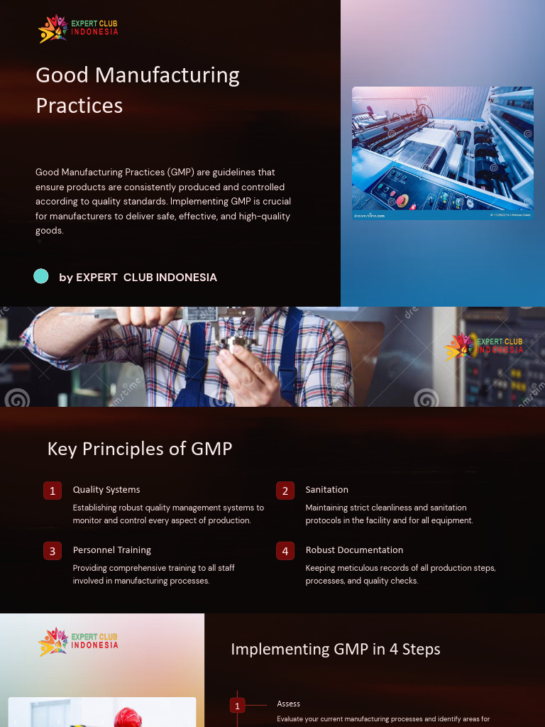 GMP Intro Eci | PDF | Audit | Business