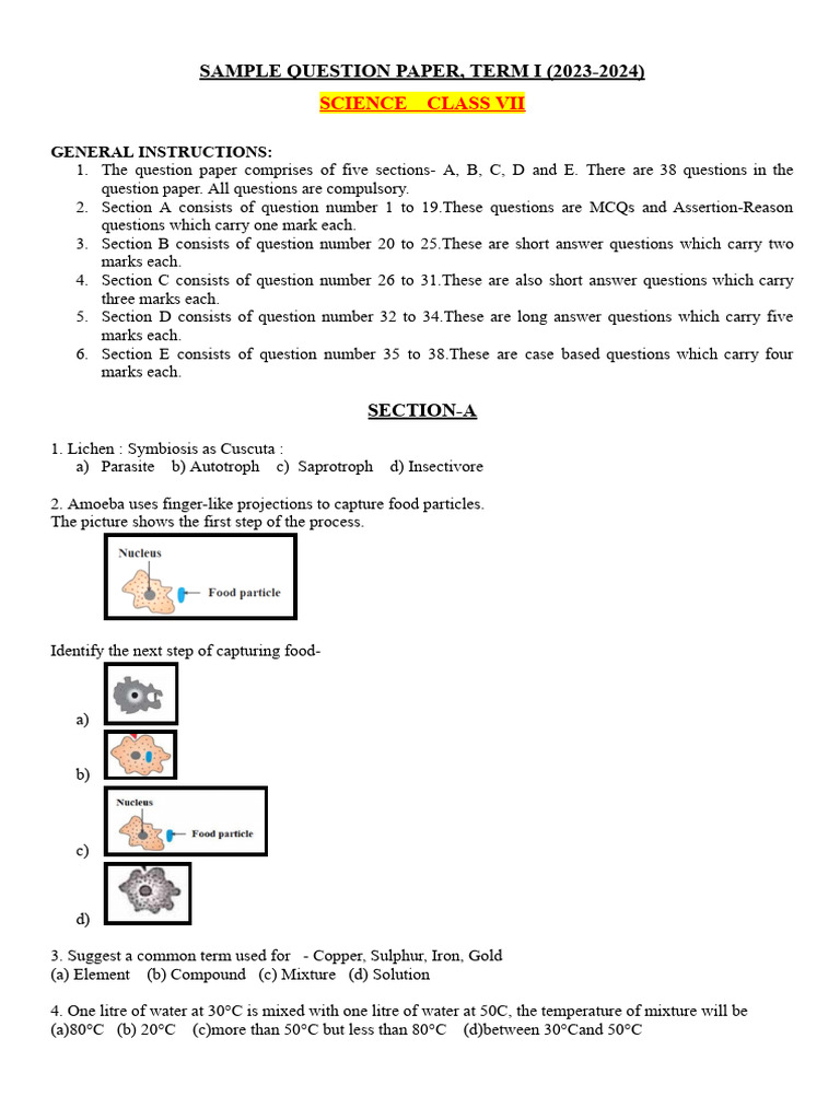 VII-SCIENCE HALF YEARLY SAMPLE QN PAPER 2023-24.docx | PDF | Chemical Reactions | Foods