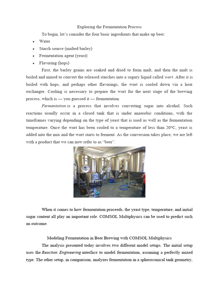 Fermentation Process in Beer Brewing | PDF | Brewing | Beer