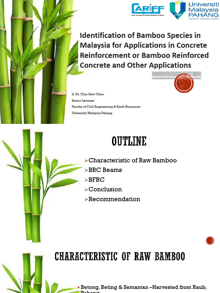 Final Report Presentation | PDF | Fracture | Beam (Structure)