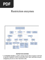 NEBcutter 2.0: Restriction Enzyme Tool | PDF