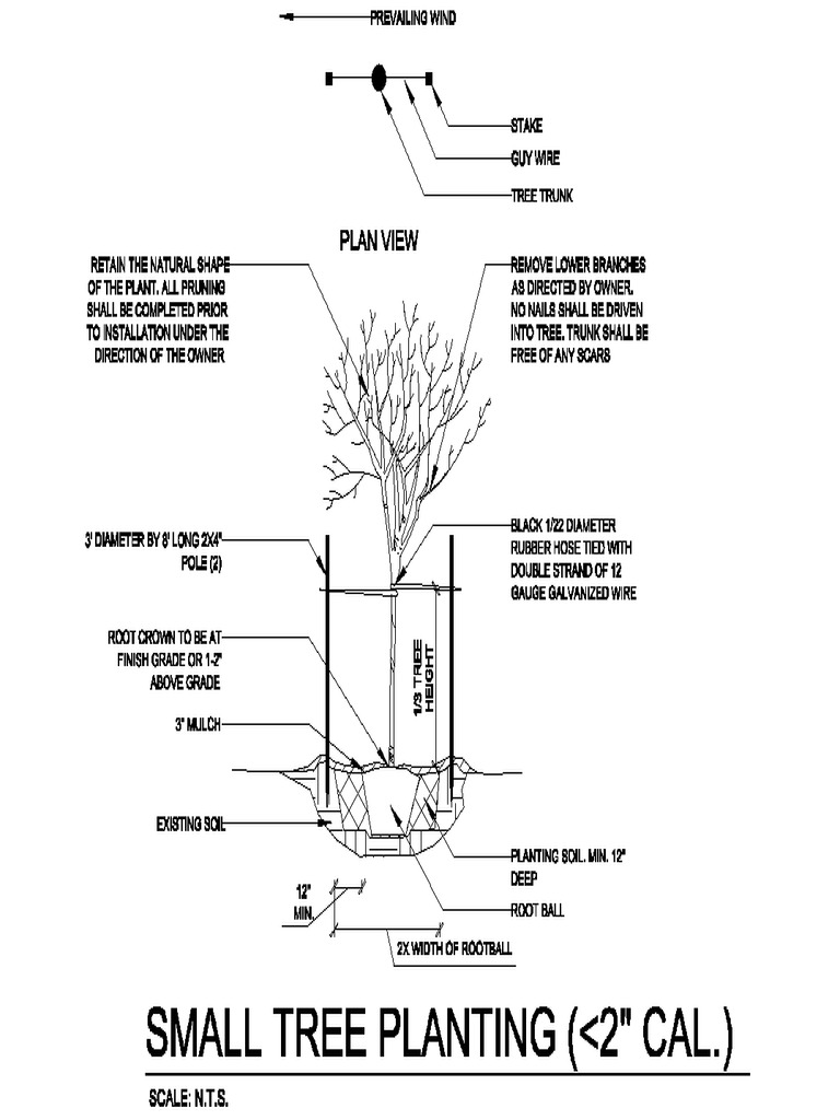 Tree 1 Pdf